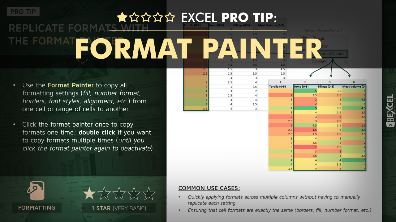 The Format Painter Excel Maven